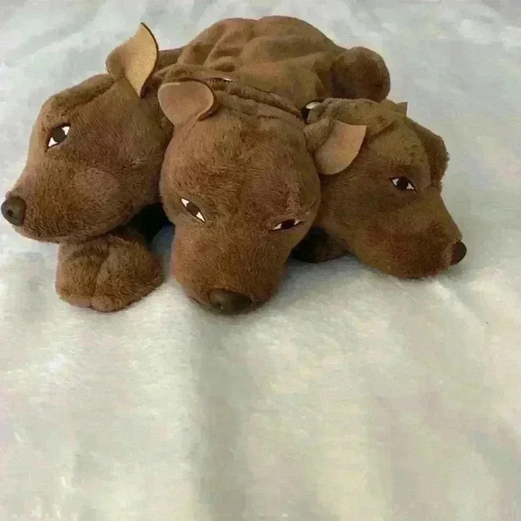 Warner Bros. | Toys | Harry Potter Cerberus 3 Head Dog Puppet From ...